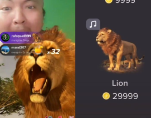 What are TikTok Gifts and How Do They Work?