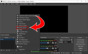 How To Use VTube Studio in OBS in 2 Minutes