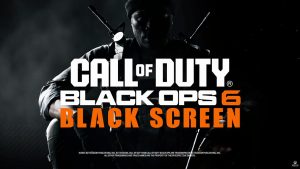 How to Fix the BO6 Black Screen Error in Game, All Platforms Fixes ...