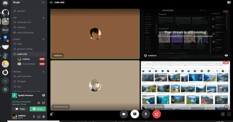 How to Share Your Screen and Gameplay on Discord